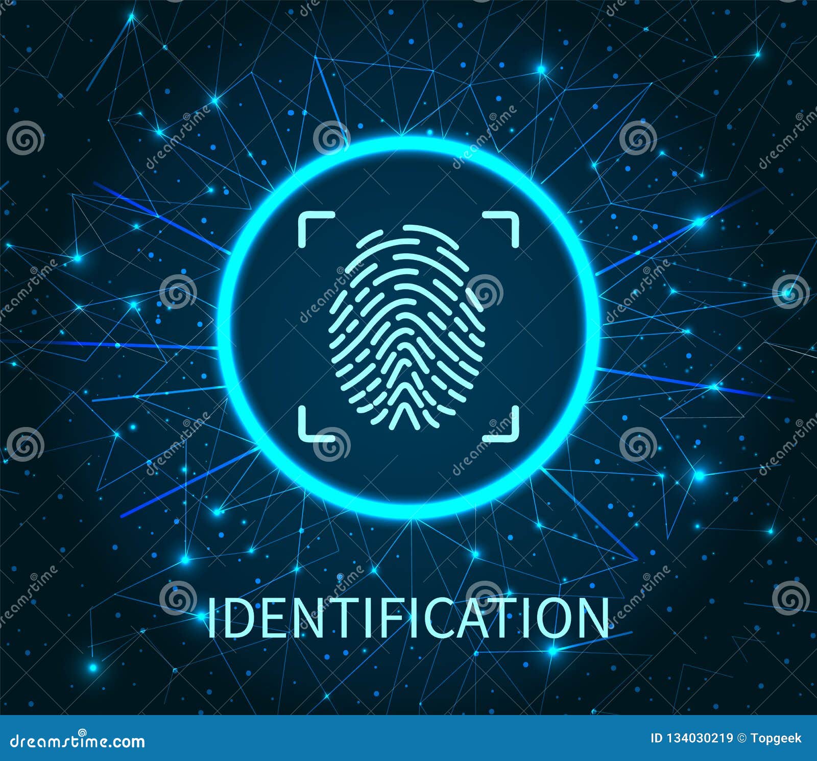 Identification Poster Illuminated Digital Data Stock Vector ...