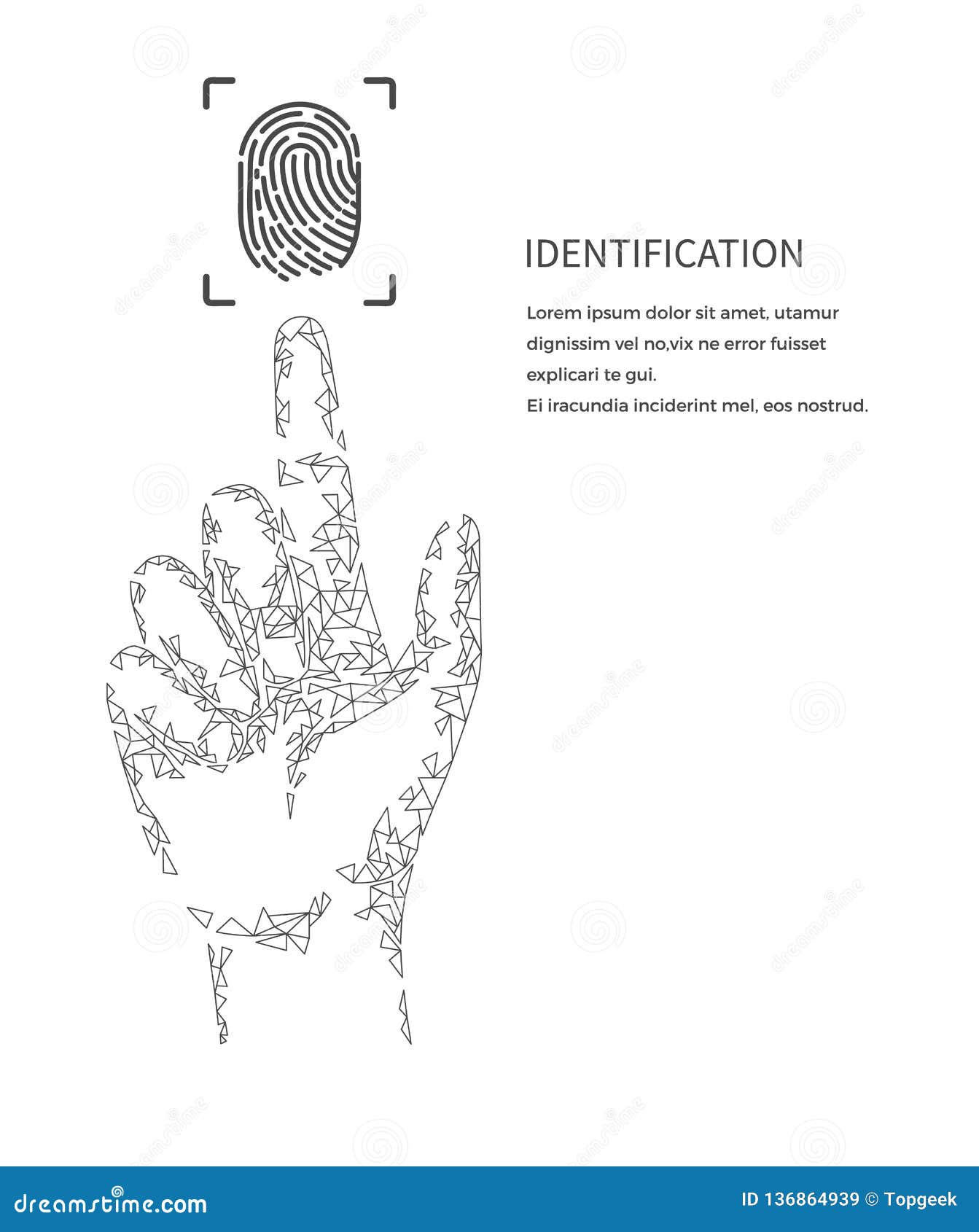 Identification Poster with Text Sample Vector Stock Vector ...