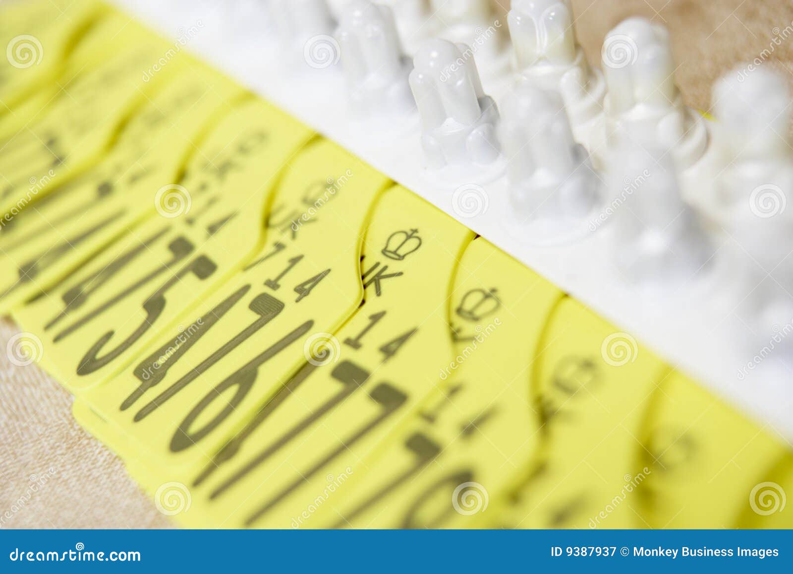 Identification Tags for Cattle Stock Image - Image of livestock ...