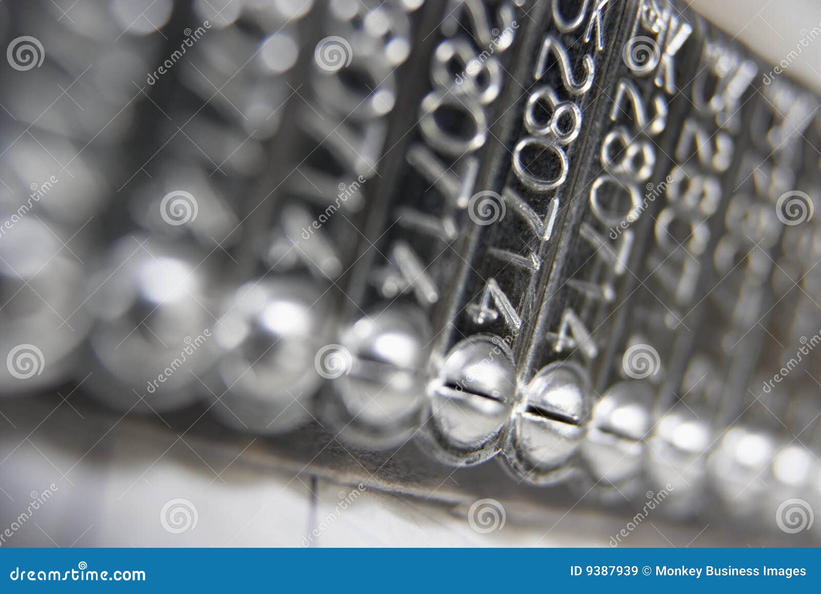 Identification Tags for Cattle Stock Image - Image of farm, still: 9387939