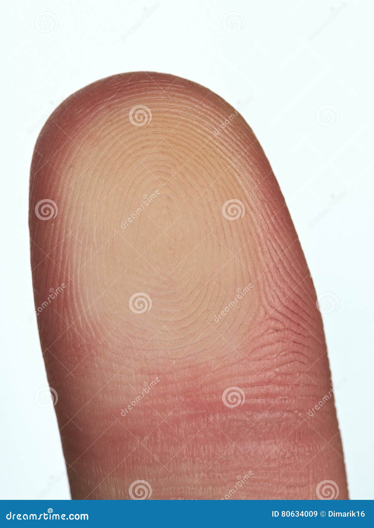 Identificazione Biometrica Di Identificazione Immagine Stock - Immagine ...
