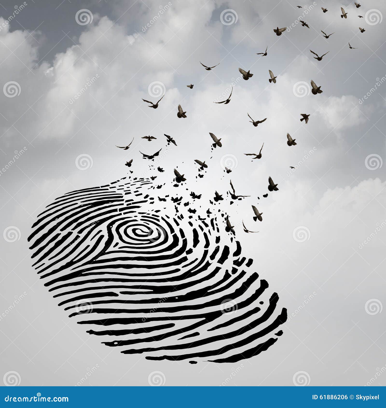 Identitet Stock Illustrationer, Vektorer, & Clipart – (1,582,214 Stock ...