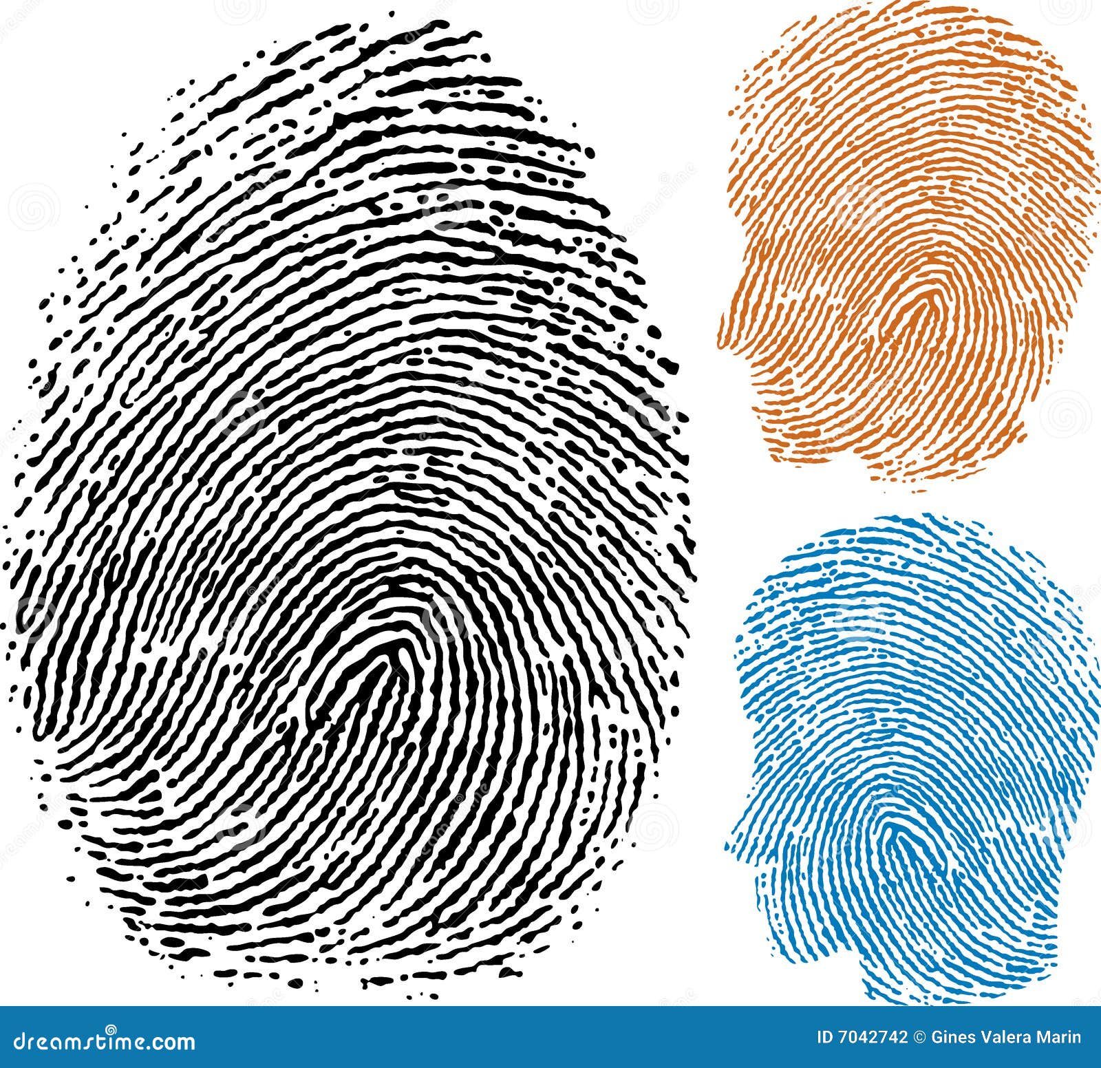 Identity fingerprint stock vector. Illustration of scan - 7042742