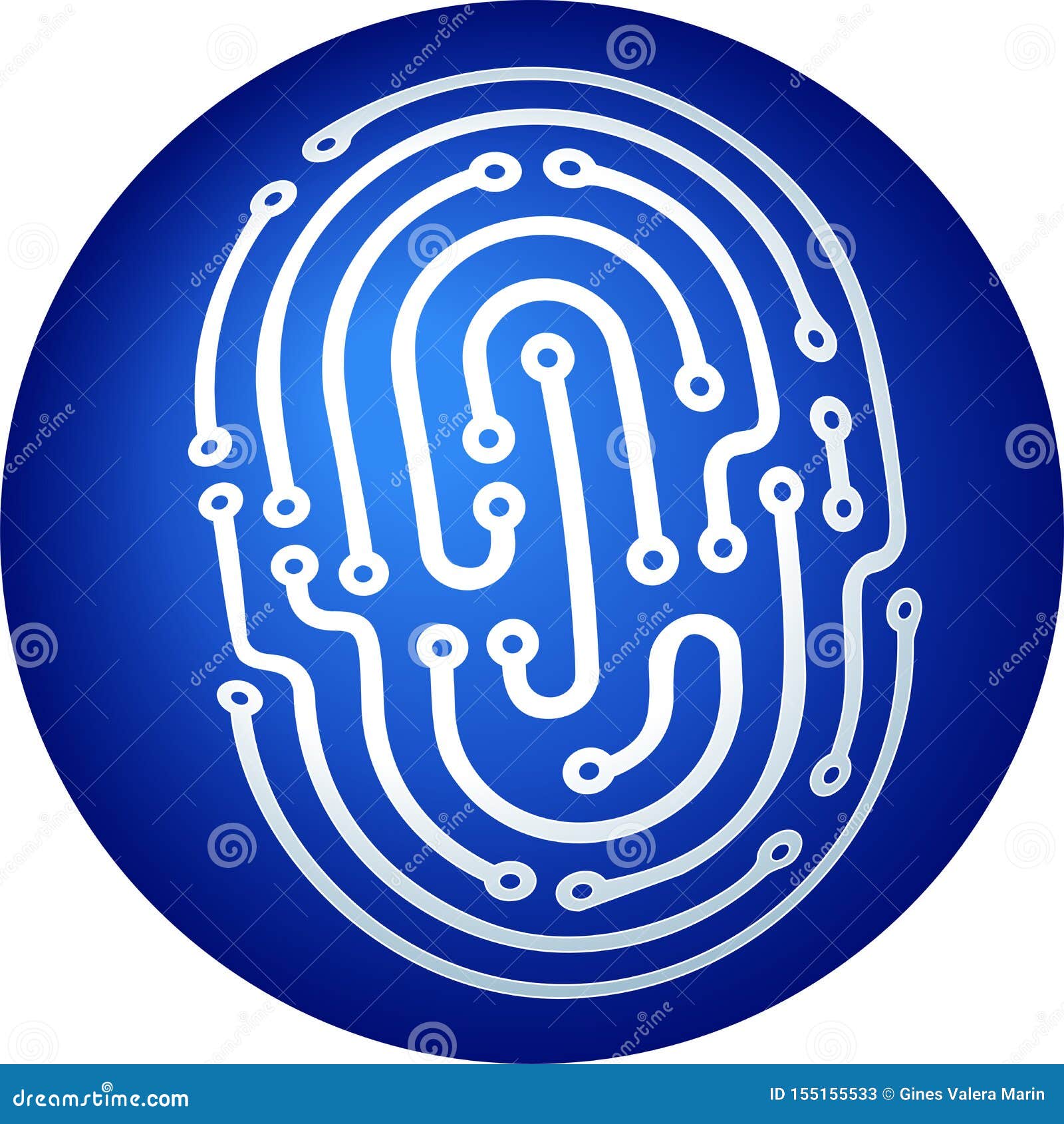 Three Fingerprint Types On White Background. Loop, Whorl, Arch Patterns ...