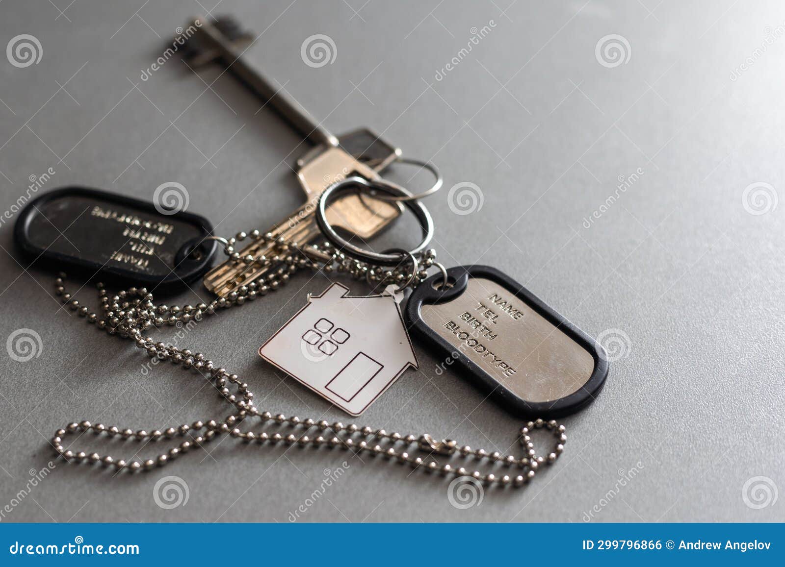Identity Tag or Dog Tag Key Stock Photo - Image of navy, frame: 299796866