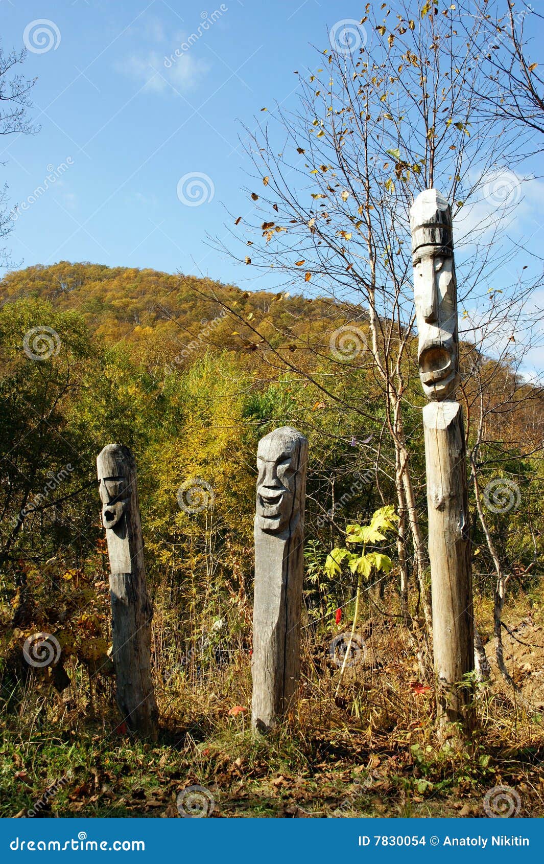 Idol stock photo. Image of primitive, pole, faith, nature - 7830054