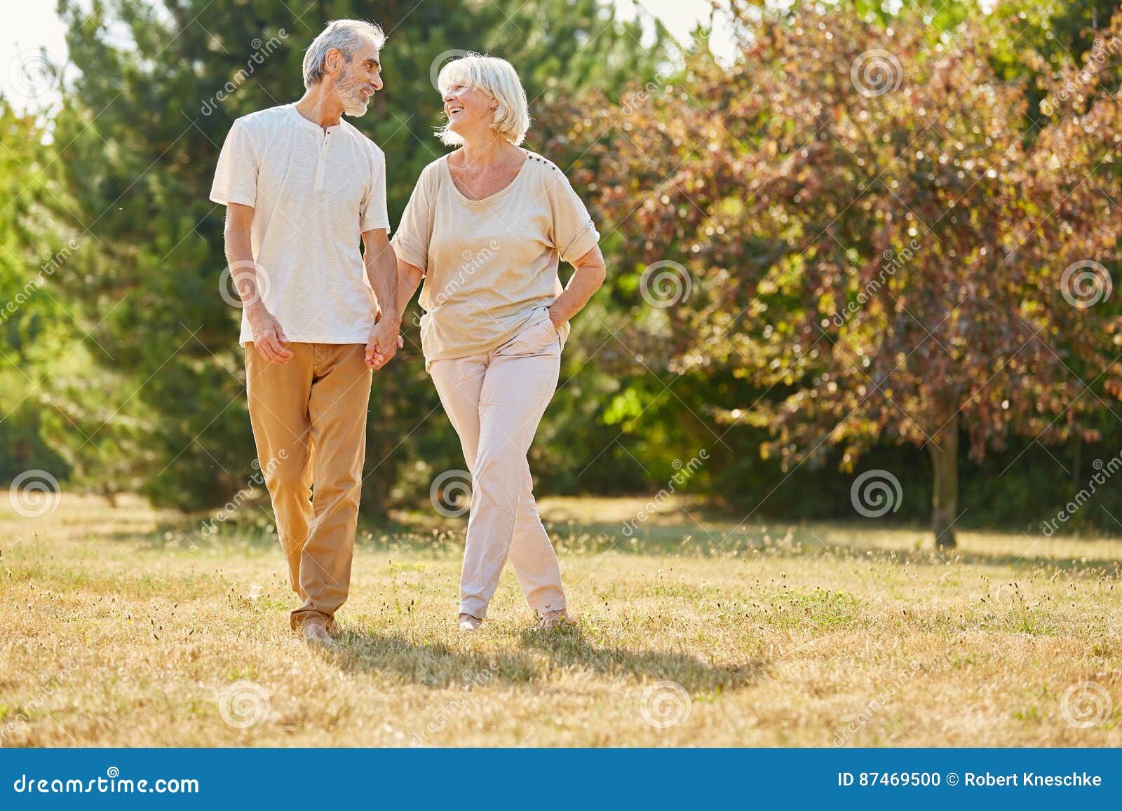 Idosos Felizes No Passeio Do Amor Foto de Stock - Imagem de nave, verde ...