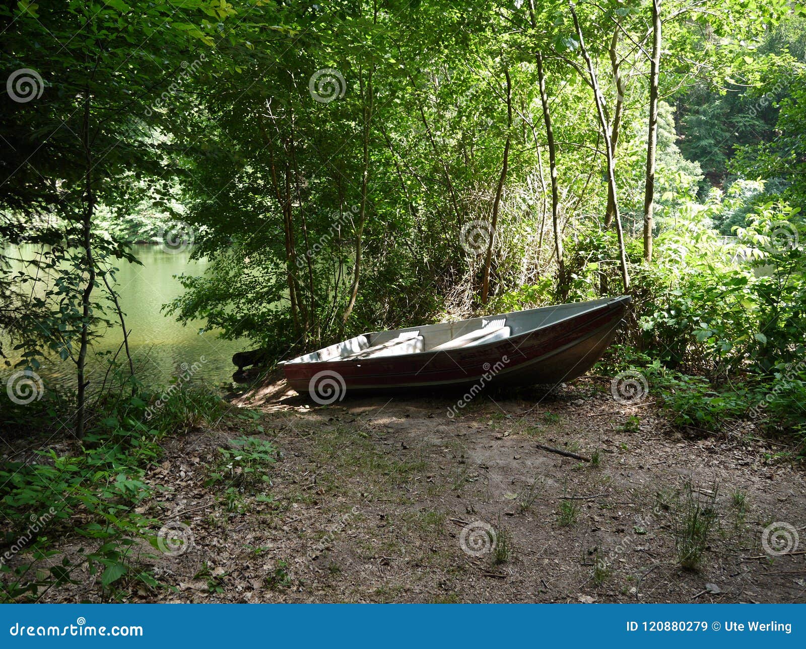 Boat in lake at forest stock image. Image of forest - 120880279