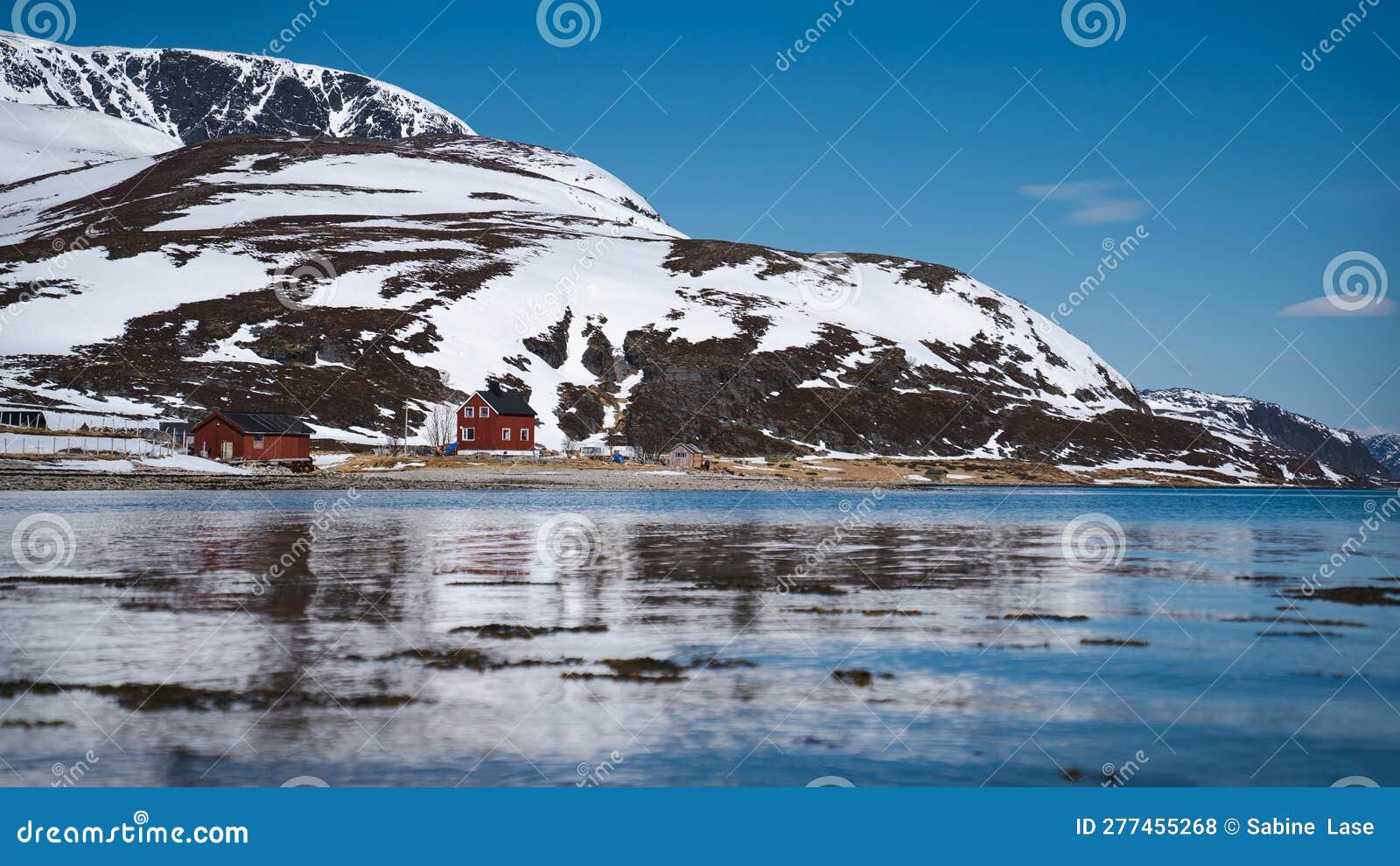 An idyll on earth stock photo. Image of ecoregion, earth - 277455268