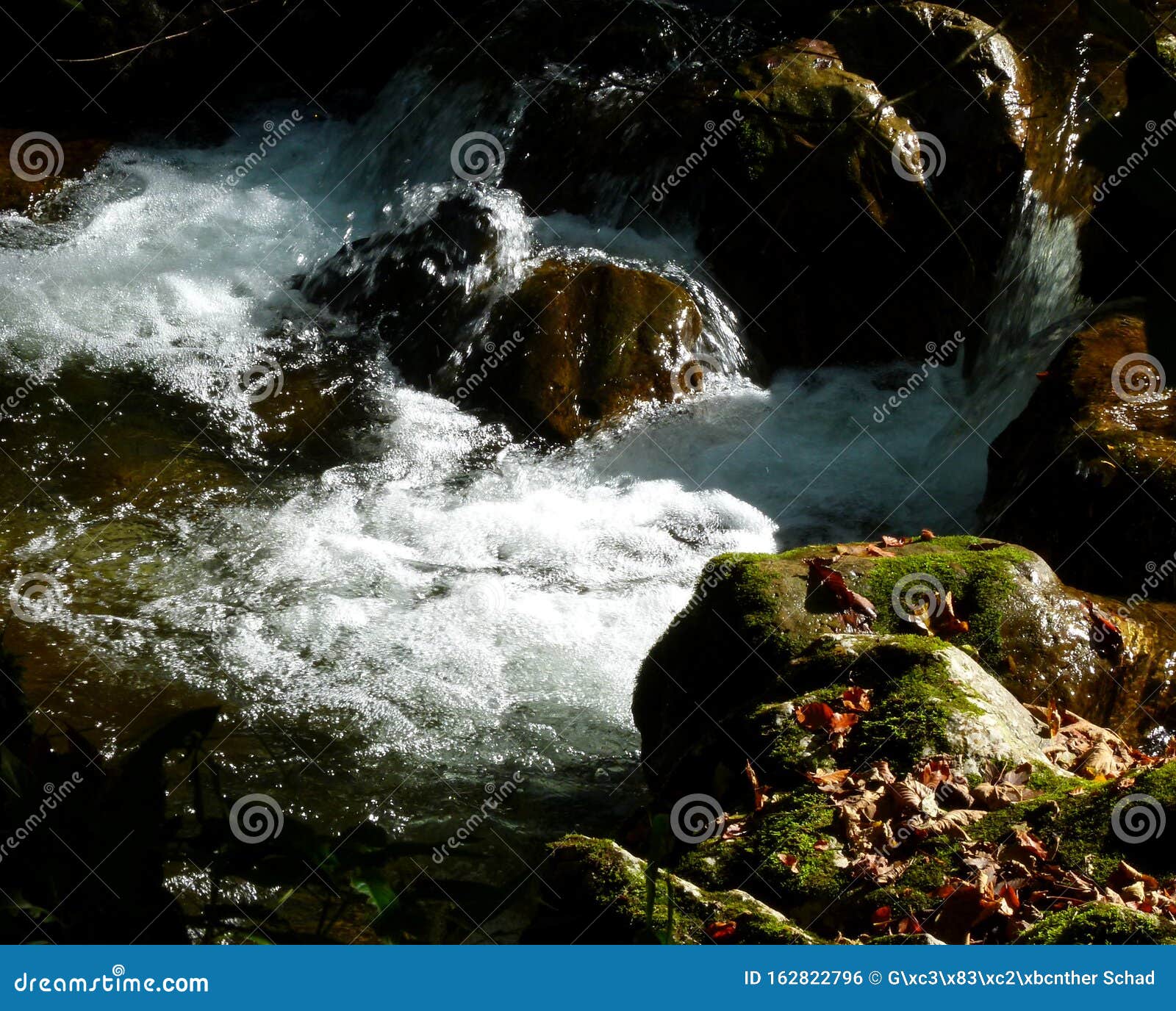 Idyll on the Rushing Mountain Stream with Crystal Clear Water 8 Stock ...