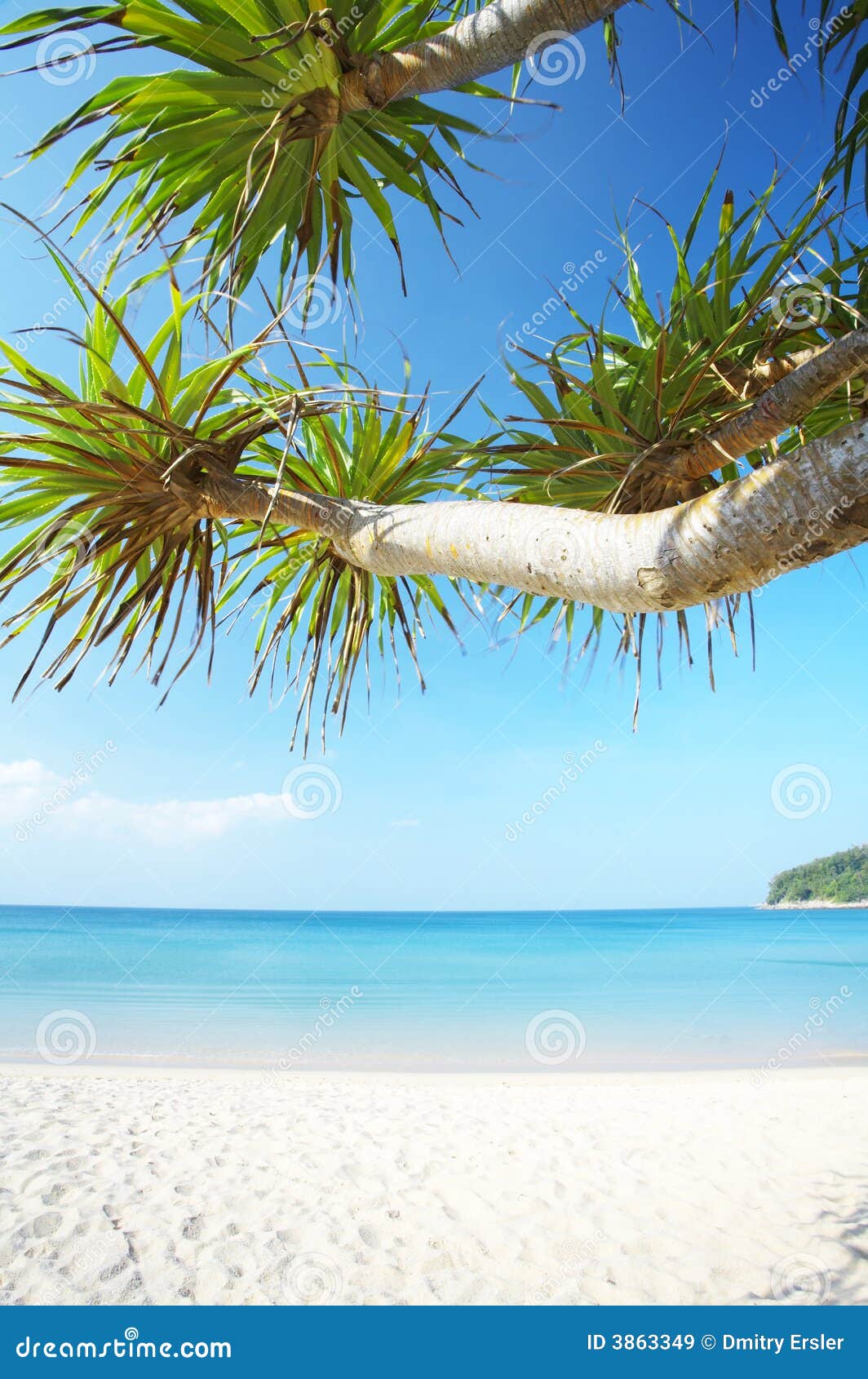 Idyllic stock image. Image of loaf, shore, holiday, sand - 3863349