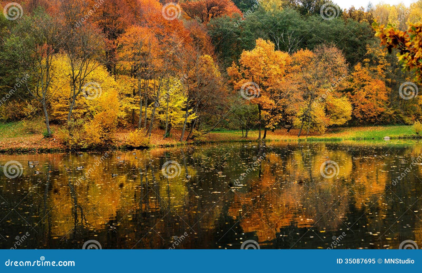 9,317 Lithuania Scenery Stock Photos - Free & Royalty-Free Stock Photos ...