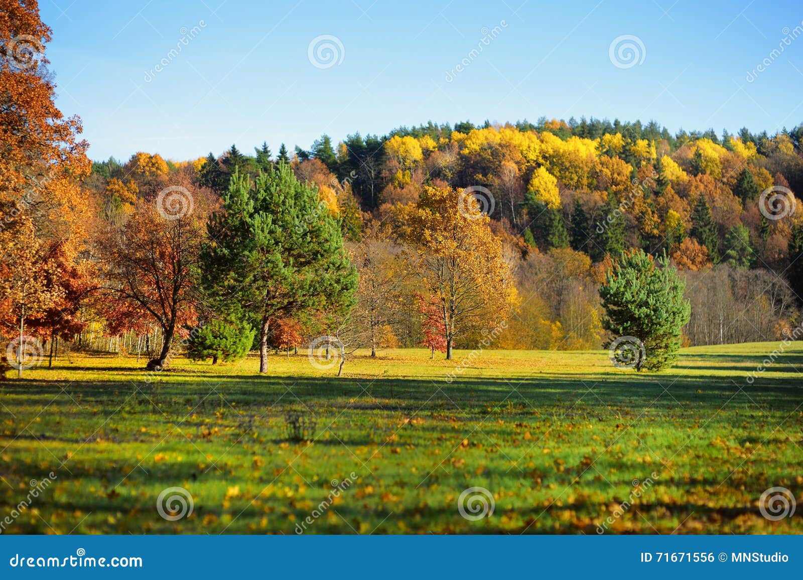 Idyllic Autumn Scenery in Lithuania Stock Photo - Image of fall ...