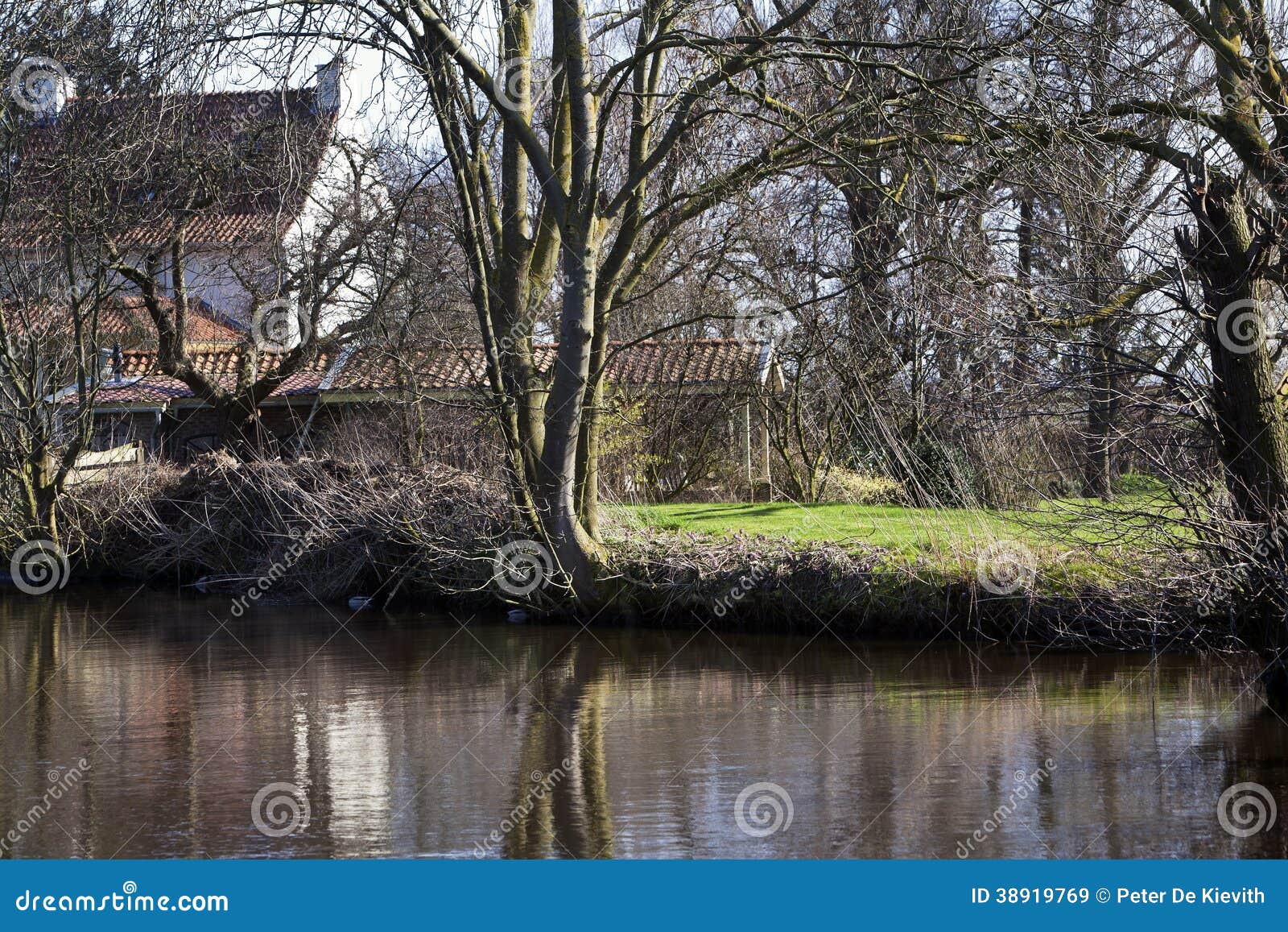 Idyllic backyard stock image. Image of outdoors, backyard - 38919769