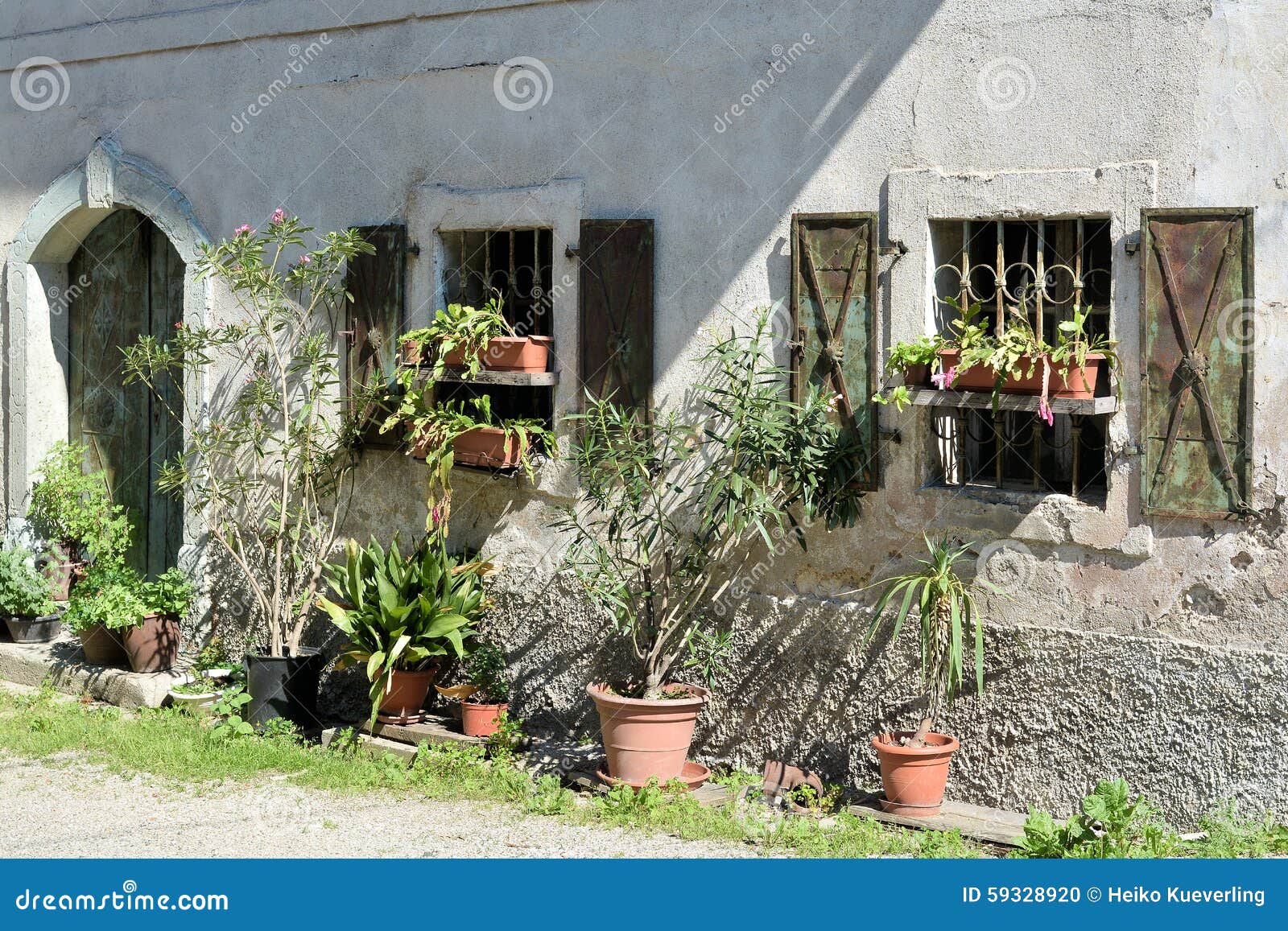 Idyllic backyard stock photo. Image of grow, decorative - 59328920