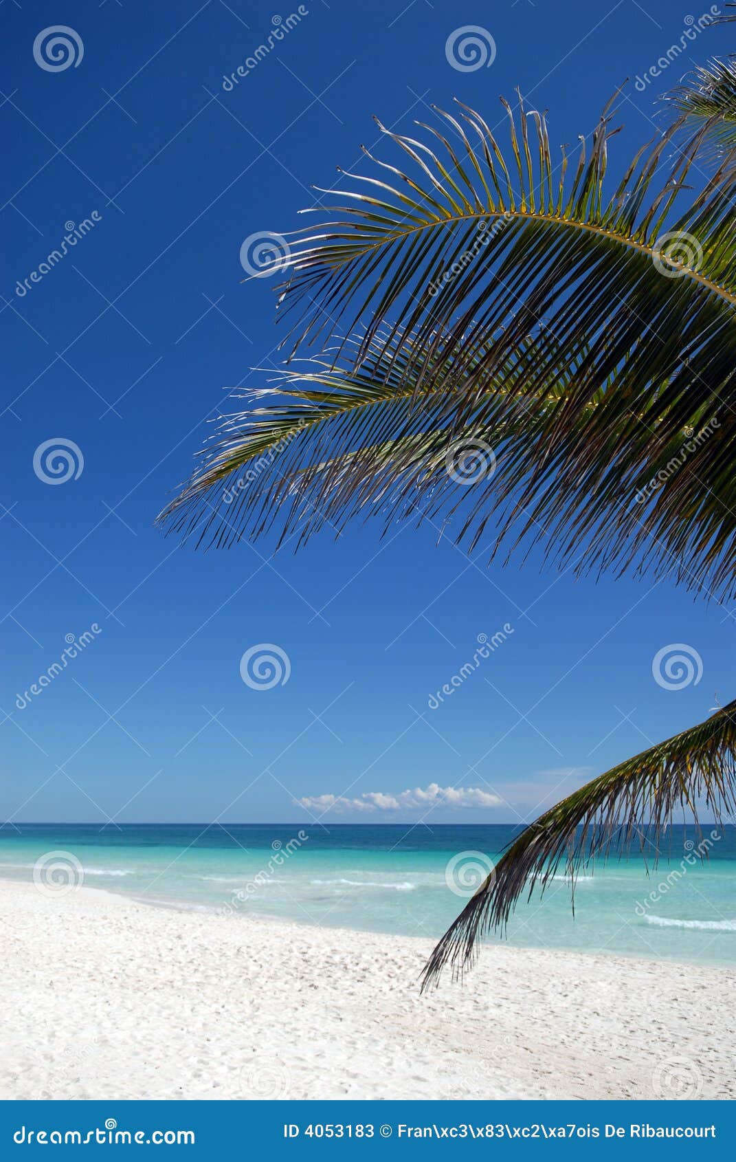 Idyllic beach stock image. Image of paradise, palm, summer - 4053183