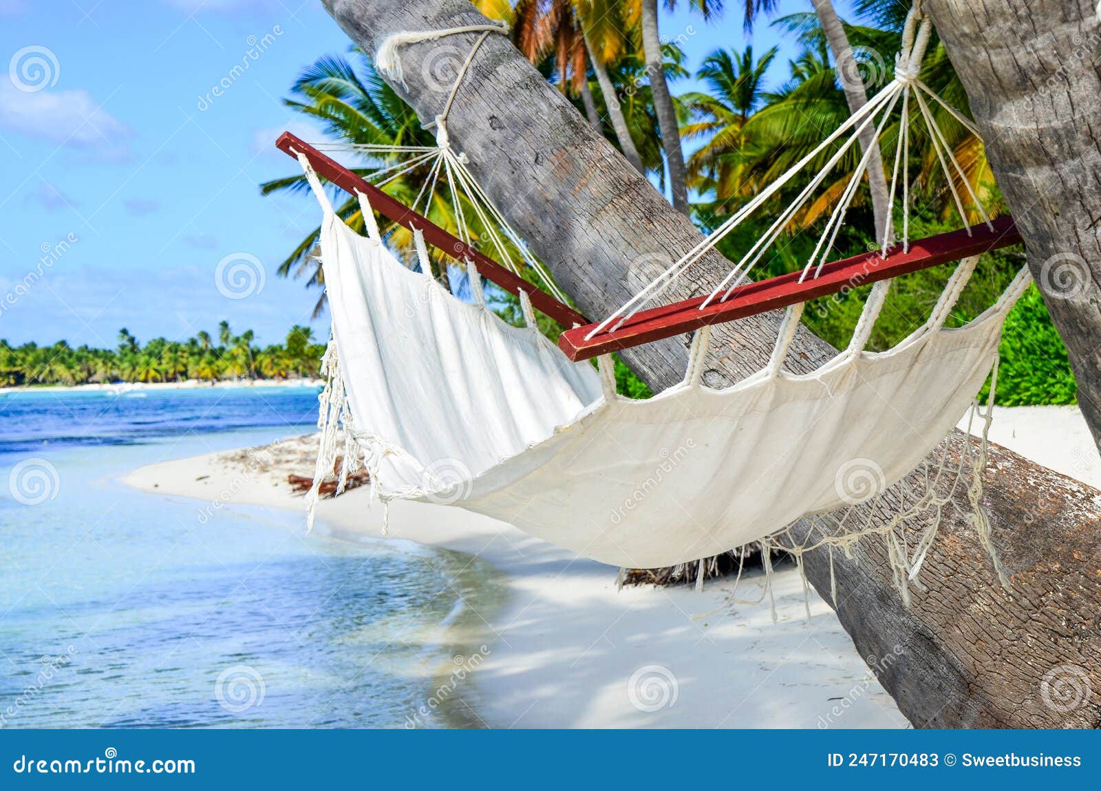 Idyllic Beach With Coconut Trees And Hammock In The Dominican Republic
