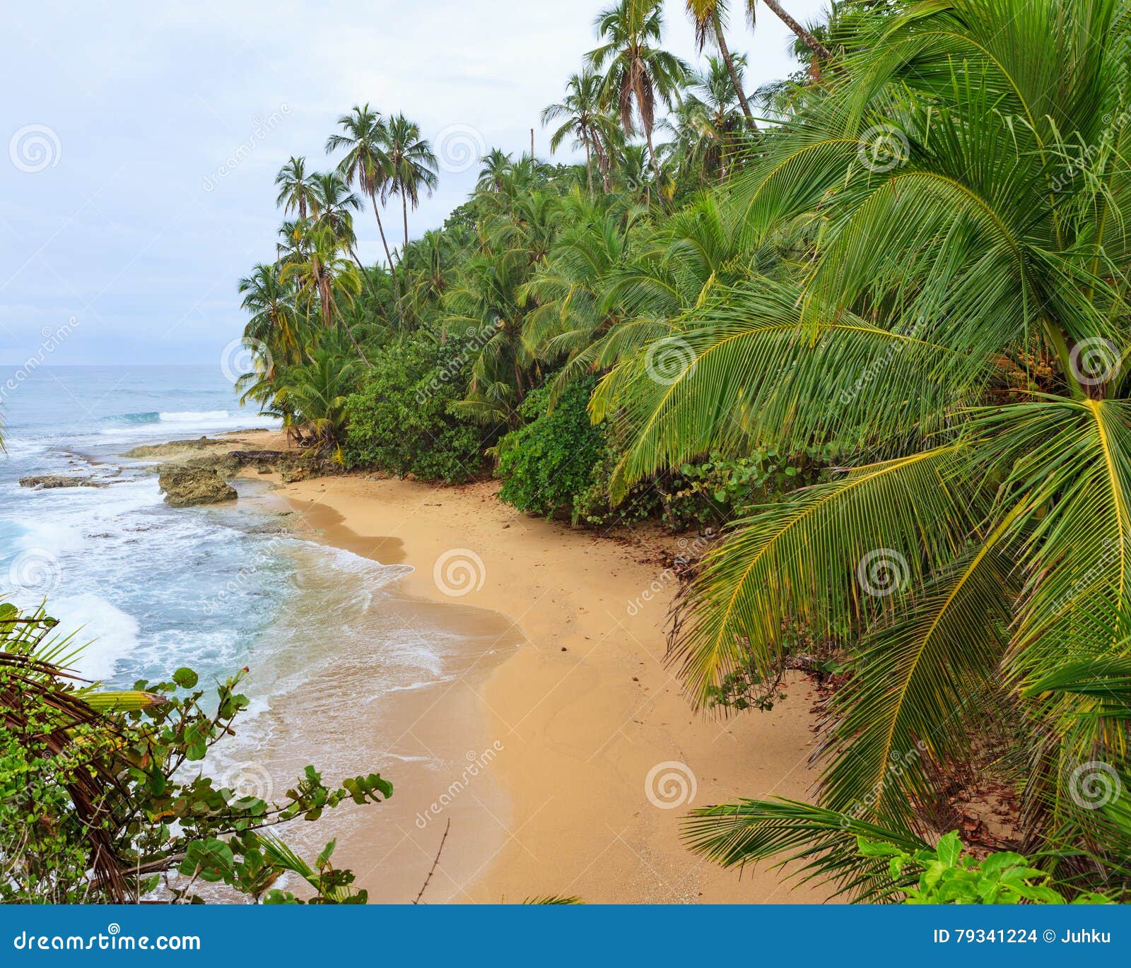 Idyllic Beach Manzanillo Costa Rica Stock Photo - Image of manzanillo ...