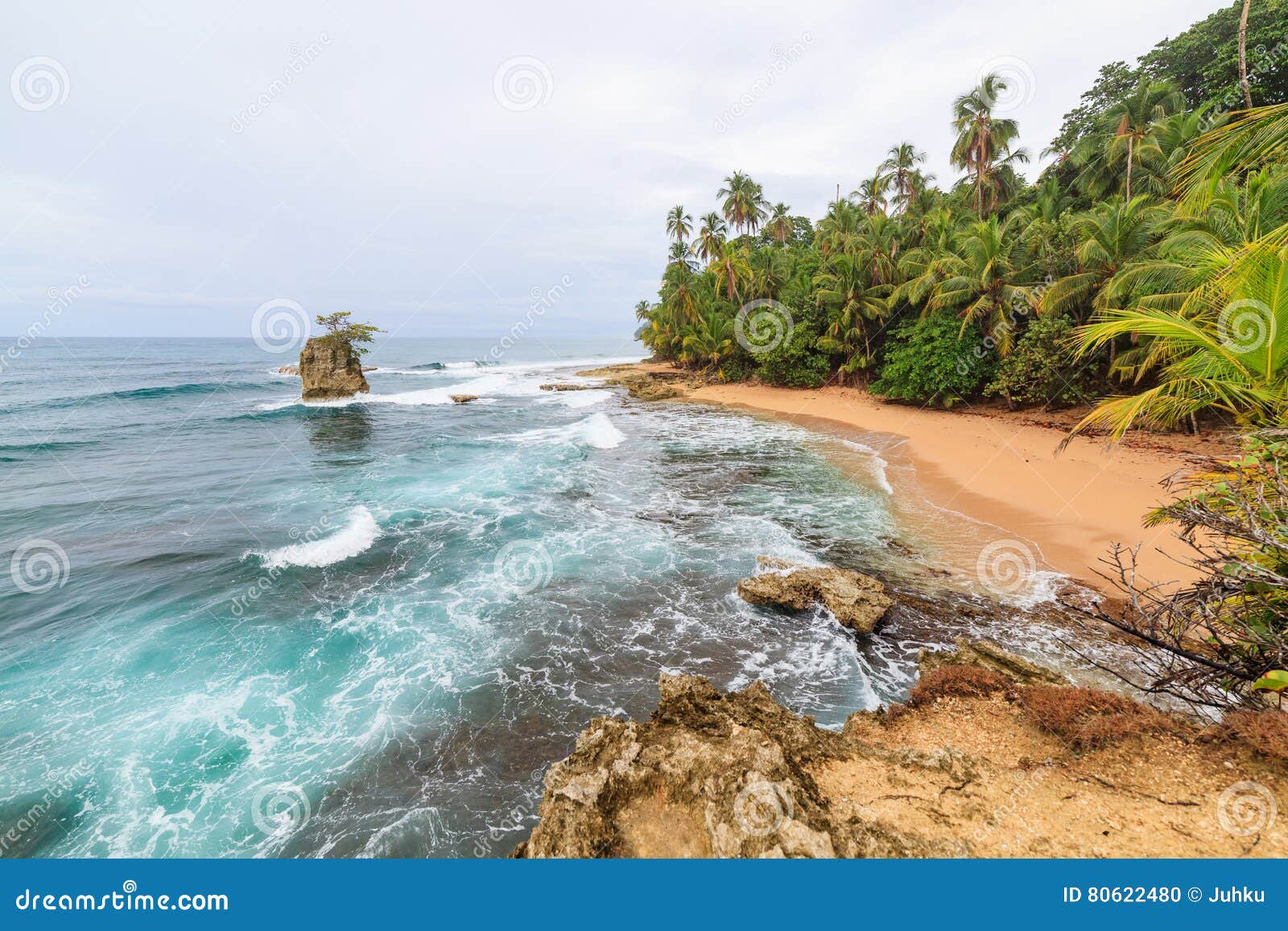 Idyllic Beach Manzanillo Costa Rica Stock Photo - Image of refuge, lush ...