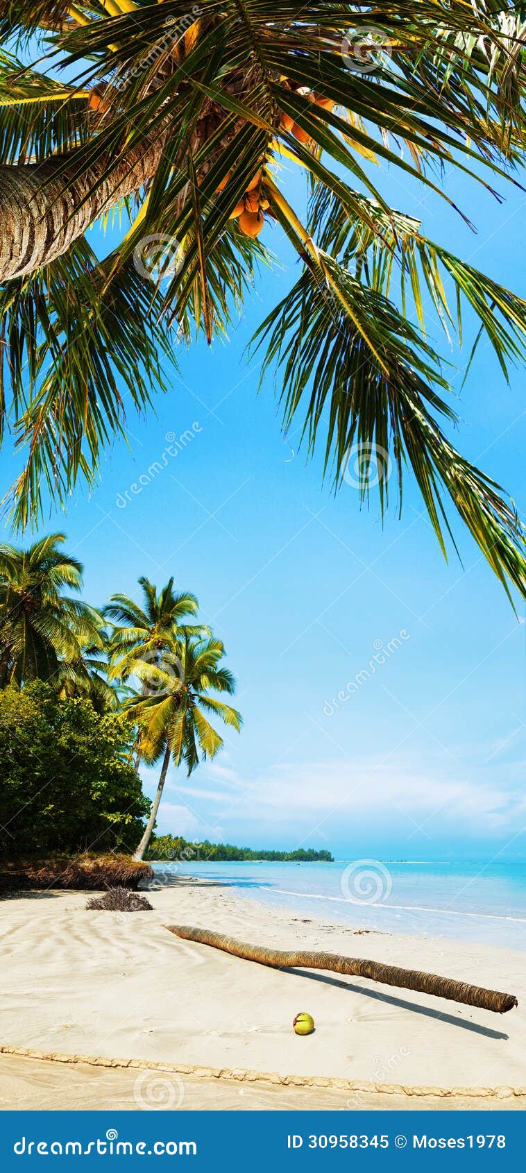 Idyllic beach stock image. Image of peace, turquoise - 30958345