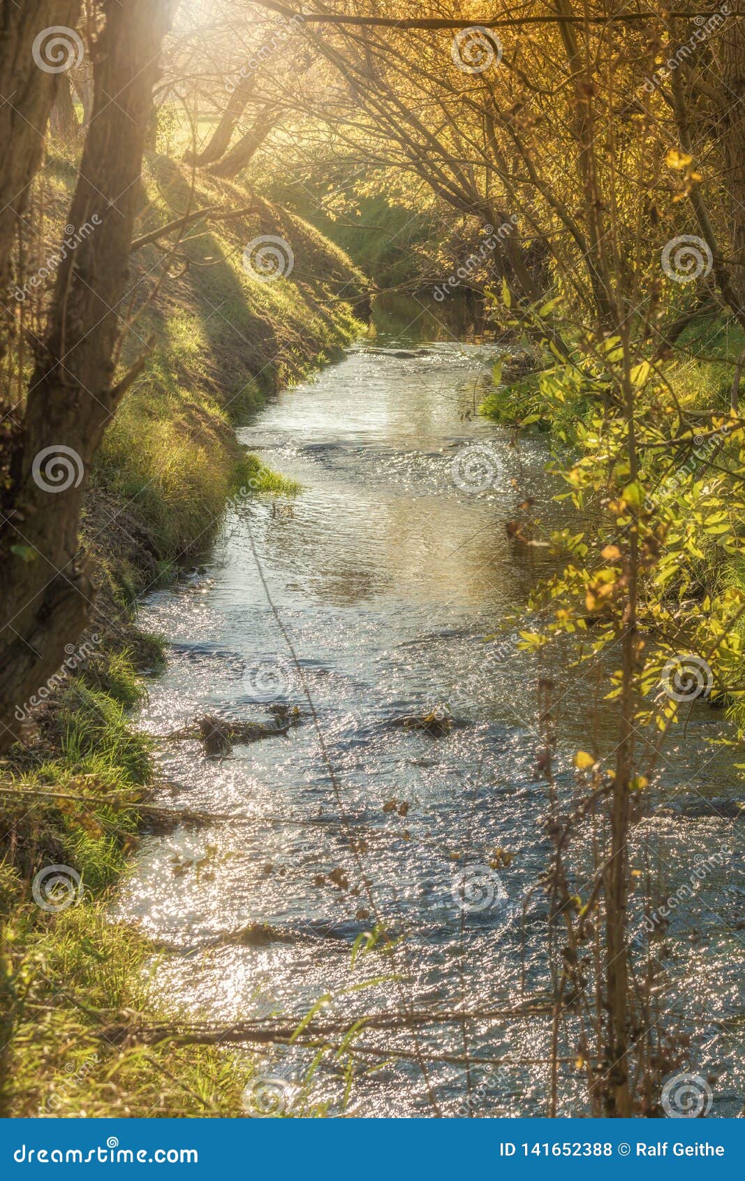 Idyllic creek at sunrise stock photo. Image of cold - 141652388
