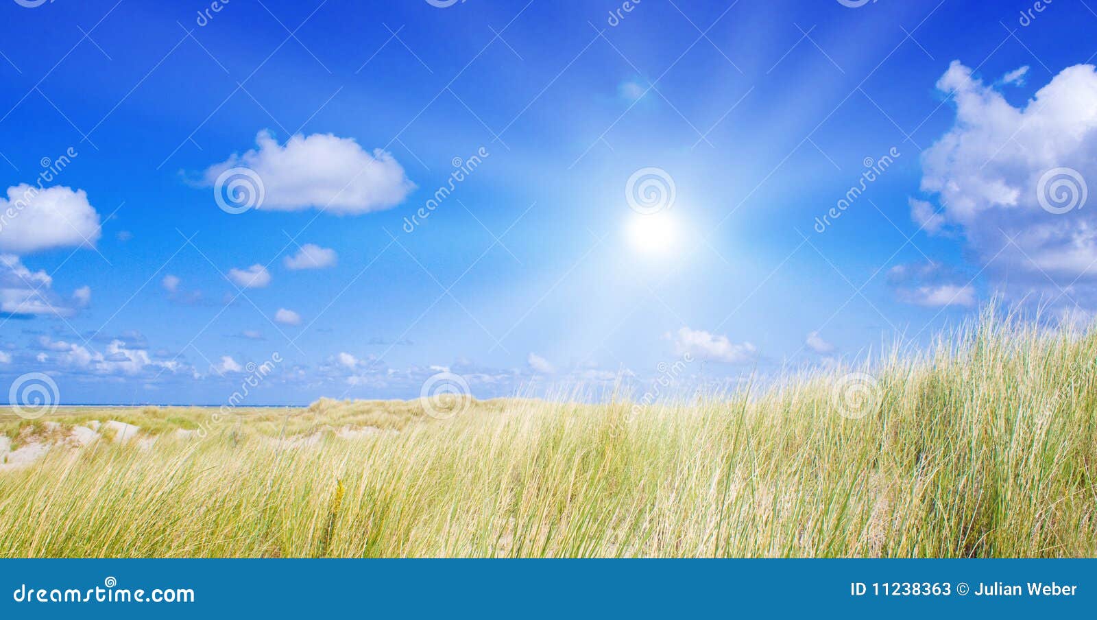 Idyllic Dunes with Sunlight Stock Image - Image of bright, grass: 11238363