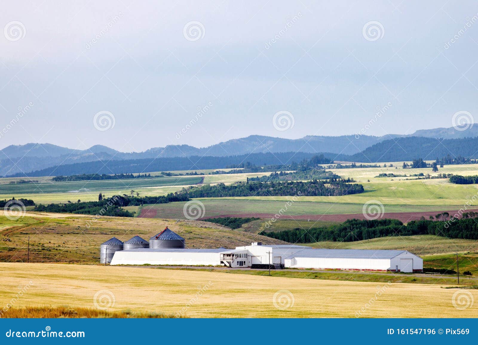 Idyllic Farm Scene with Buildings and Fields. Stock Photo - Image of ...