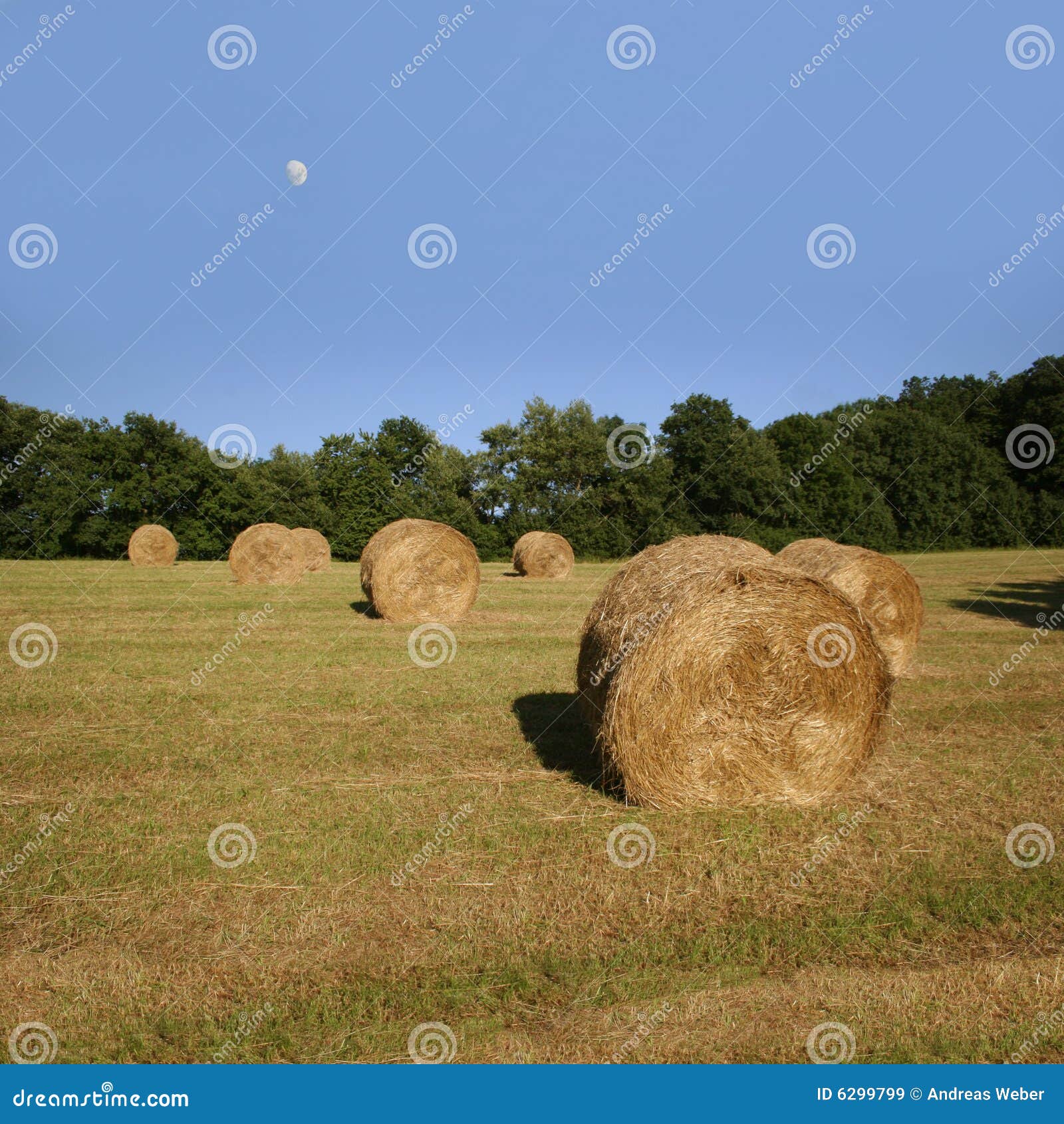 Idyllic Field with Hay Bales in Late Summer Stock Image - Image of ...
