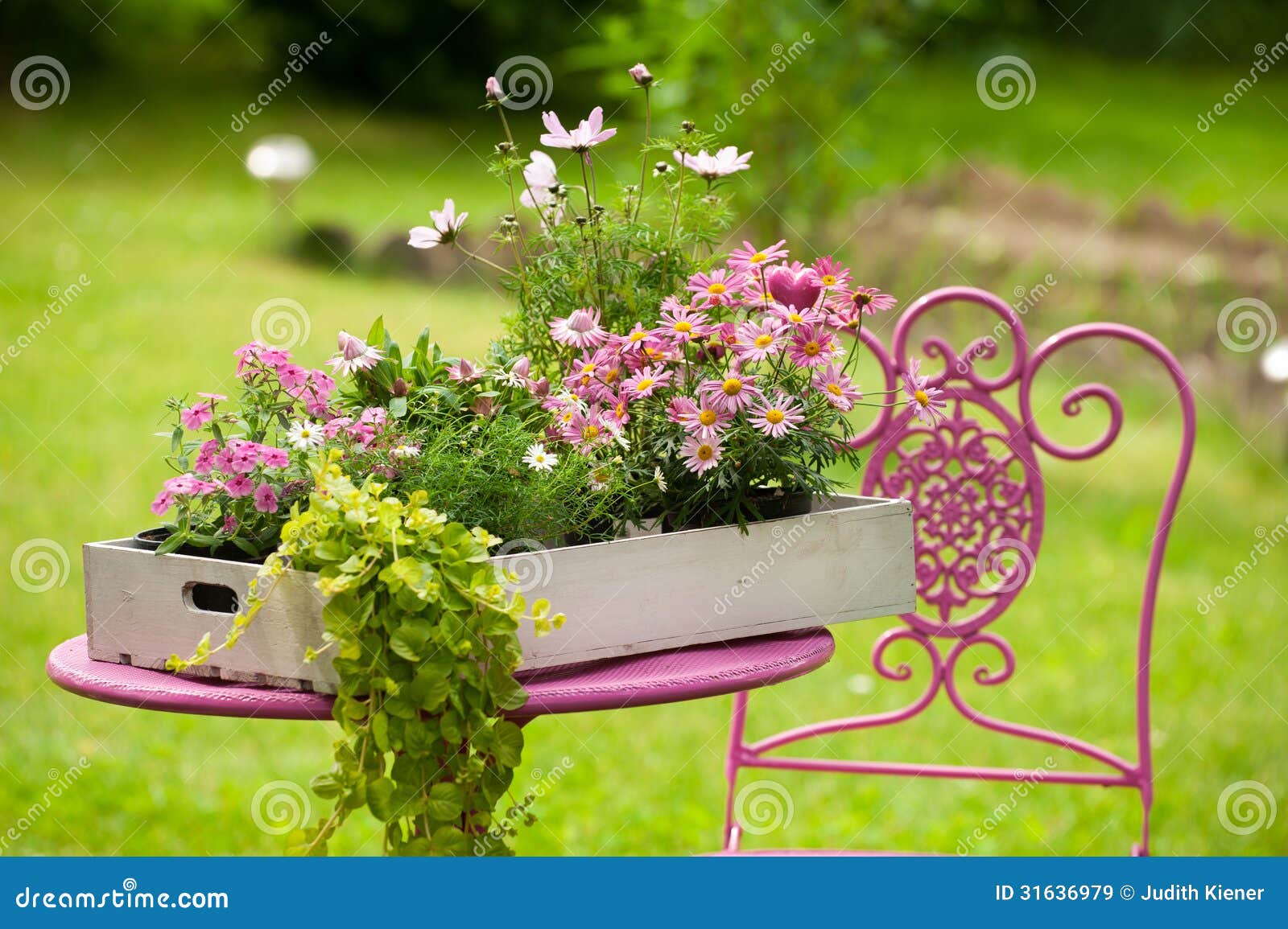 Idyllic garden stock image. Image of plant, flowers, idyll - 31636979