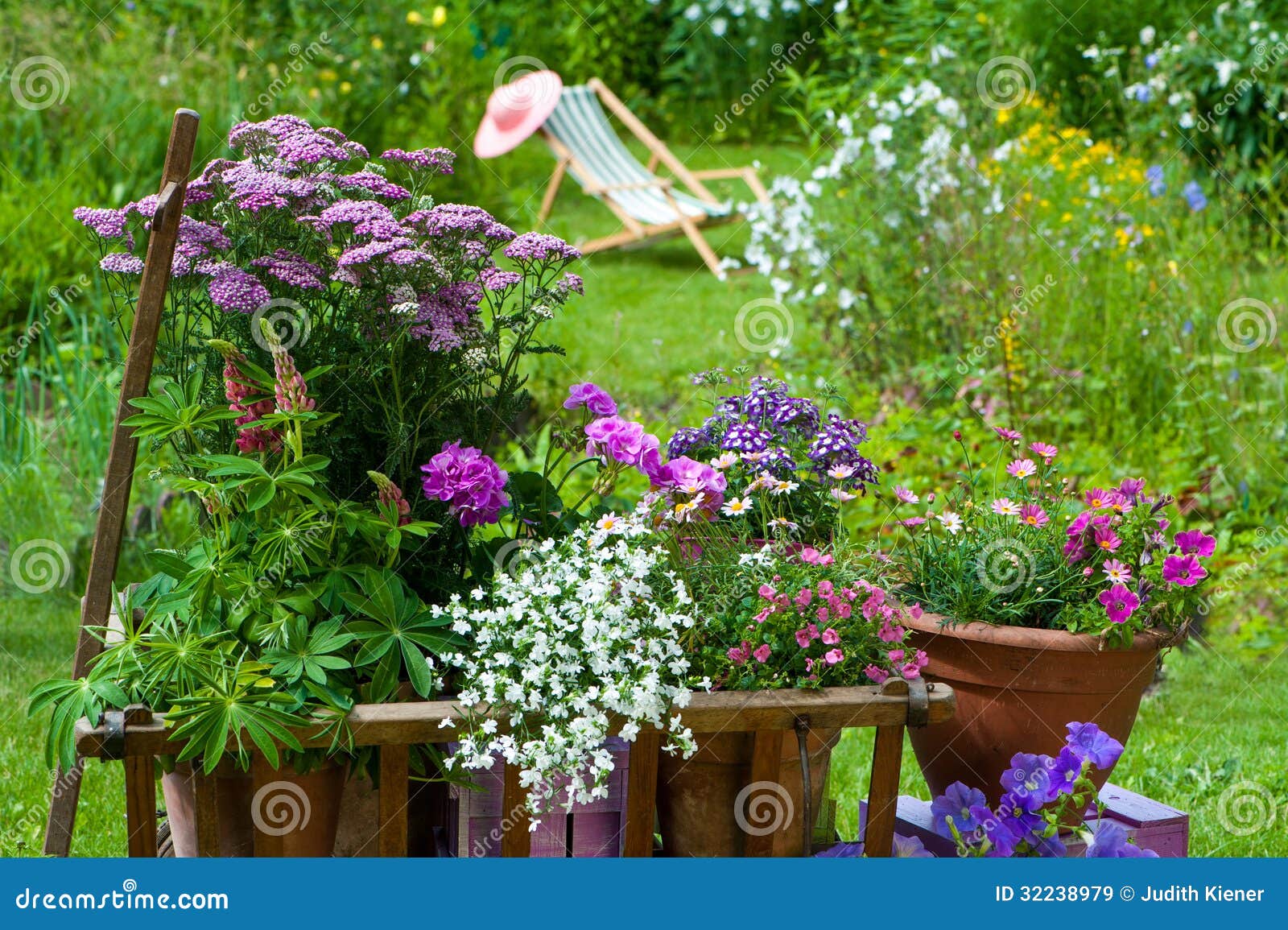 Idyllic garden stock image. Image of daisies, purple - 32238979