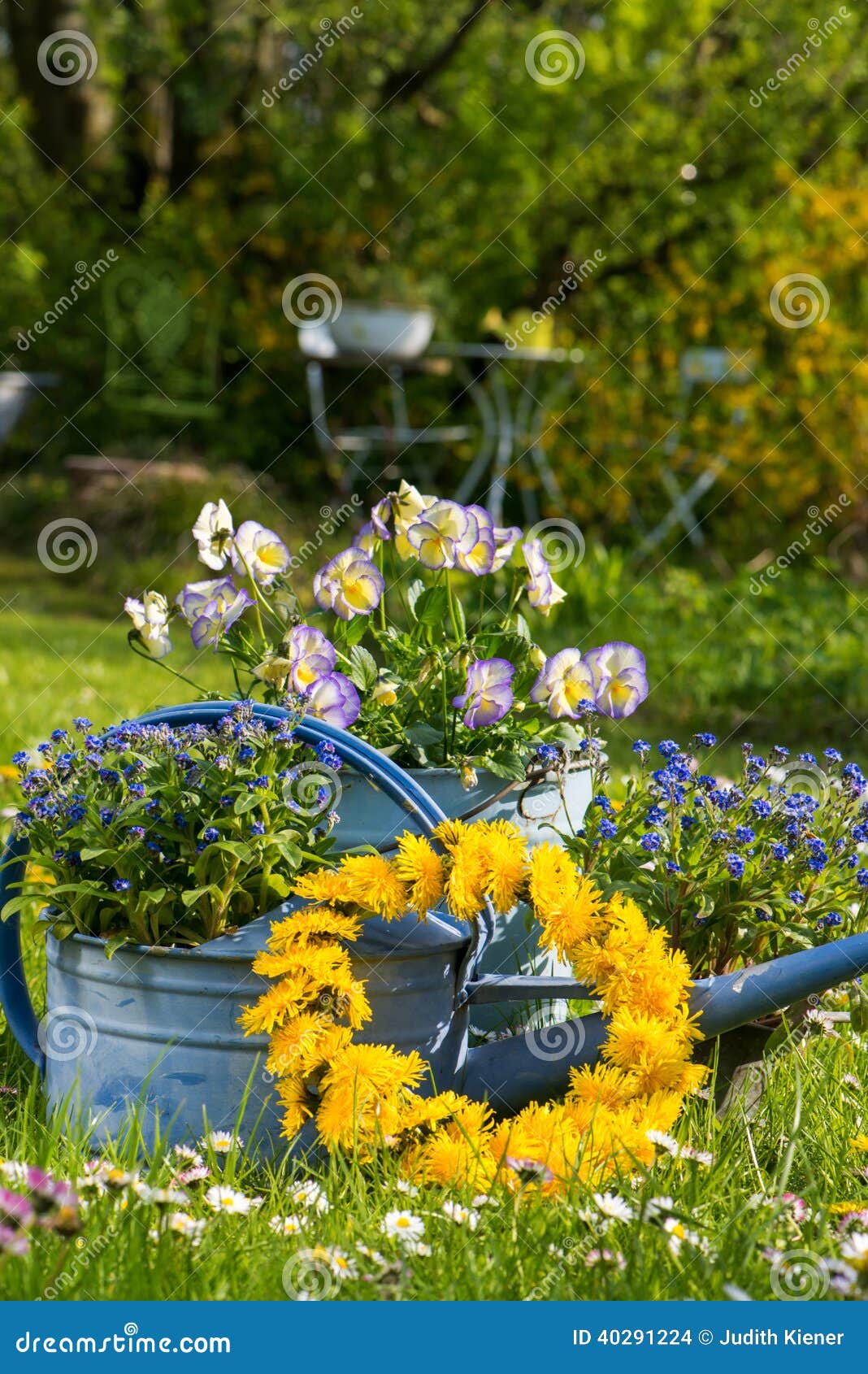Idyllic garden stock photo. Image of blue, dandelions - 40291224