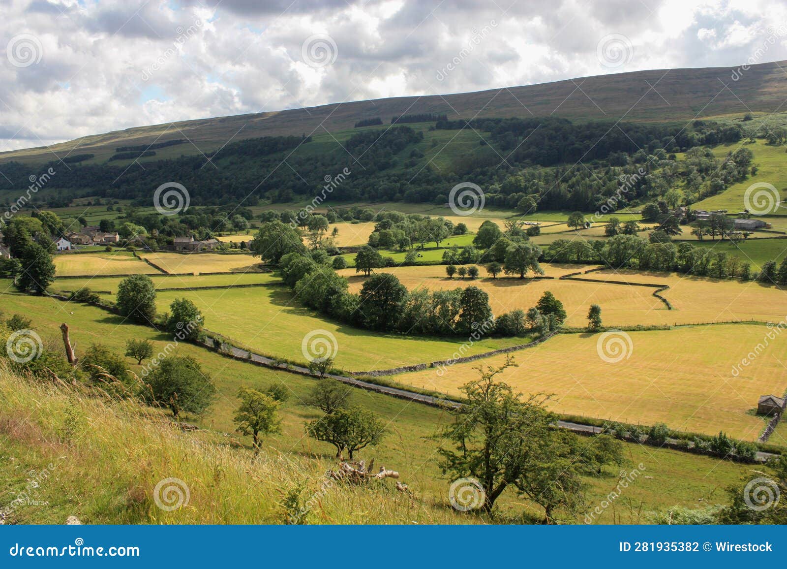 Idyllic Grassy Landscape with Sprawling Fields of Crops and a Backdrop ...