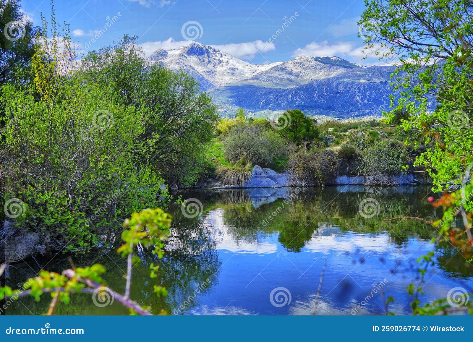 Idyllic Lakeside with a Reflection of Foliage, and Glacier Mountains in ...