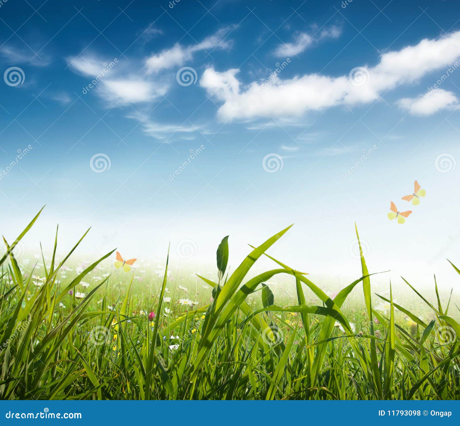 Idyllic landscape stock photo. Image of environment, weather - 11793098
