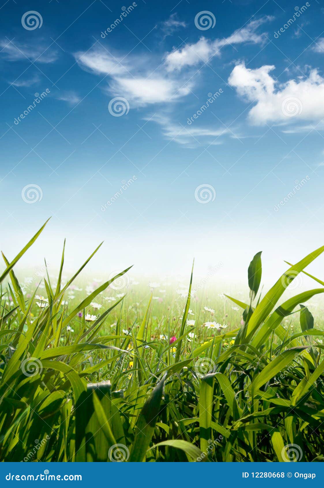 Idyllic landscape stock photo. Image of flowers, idyllic - 12280668