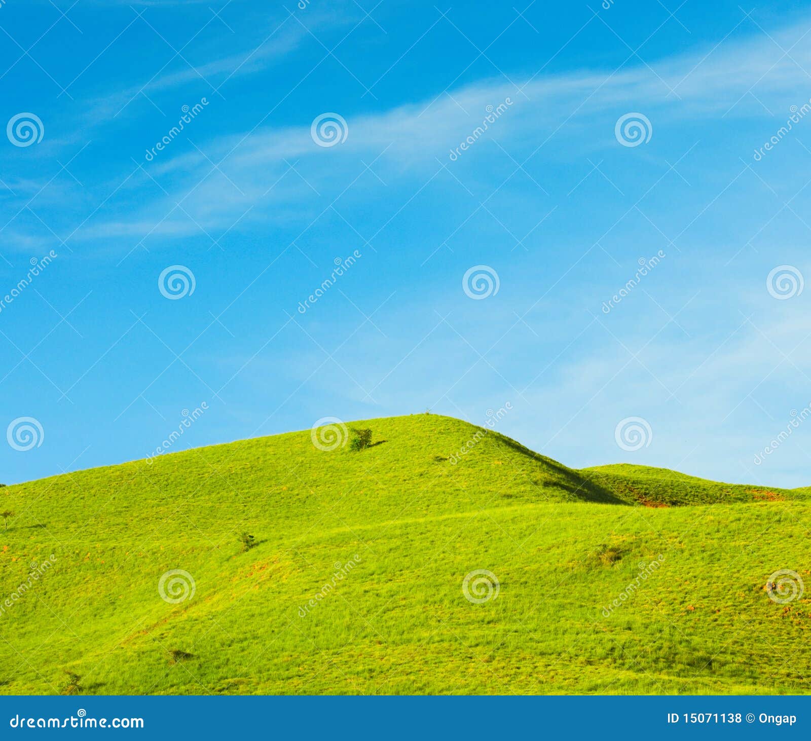 Idyllic landscape stock photo. Image of lawn, plant, green - 15071138