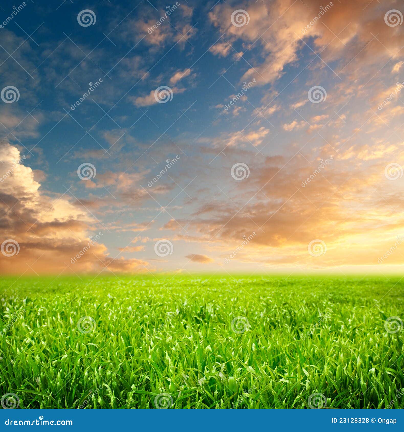 Idyllic landscape stock photo. Image of conservation - 23128328