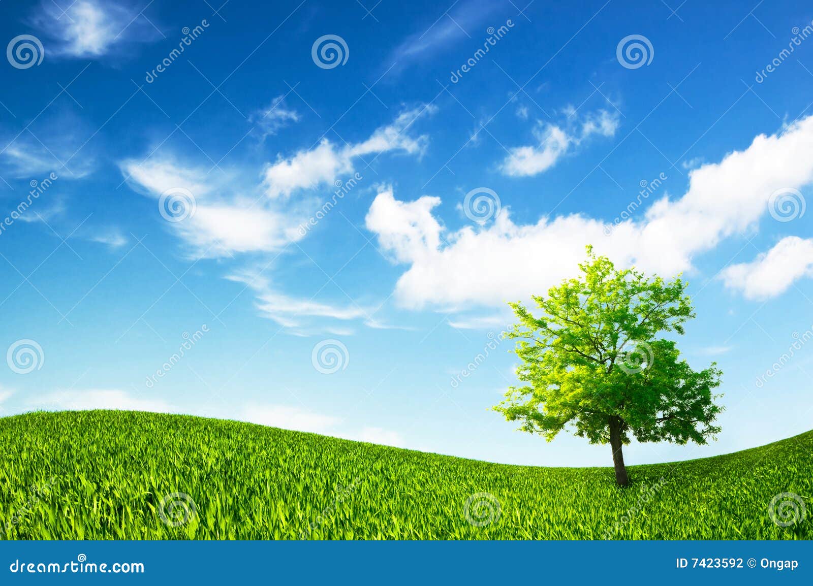 Idyllic landscape stock photo. Image of spring, season - 7423592