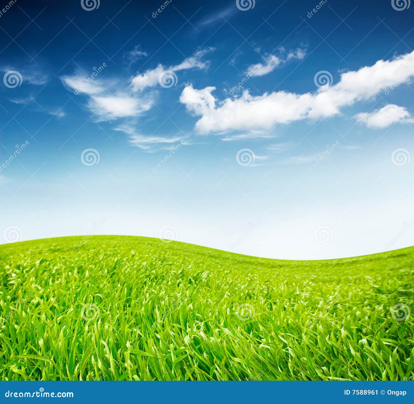 Idyllic landscape stock image. Image of idyllic, land - 7588961