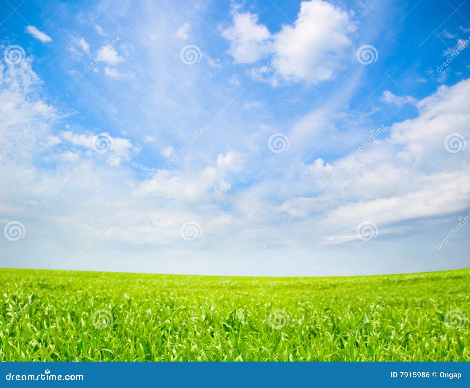 Idyllic landscape stock photo. Image of pasture, cloudscape - 7915986