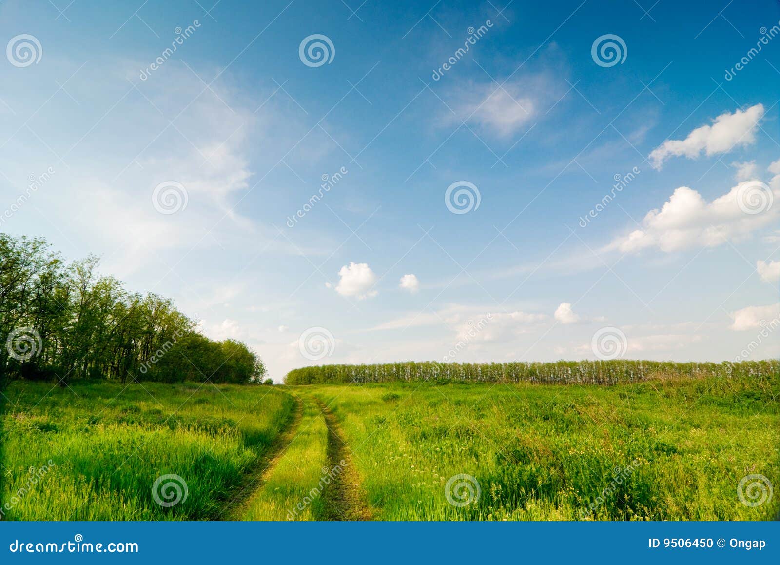 Idyllic landscape stock photo. Image of urban, spring - 9506450