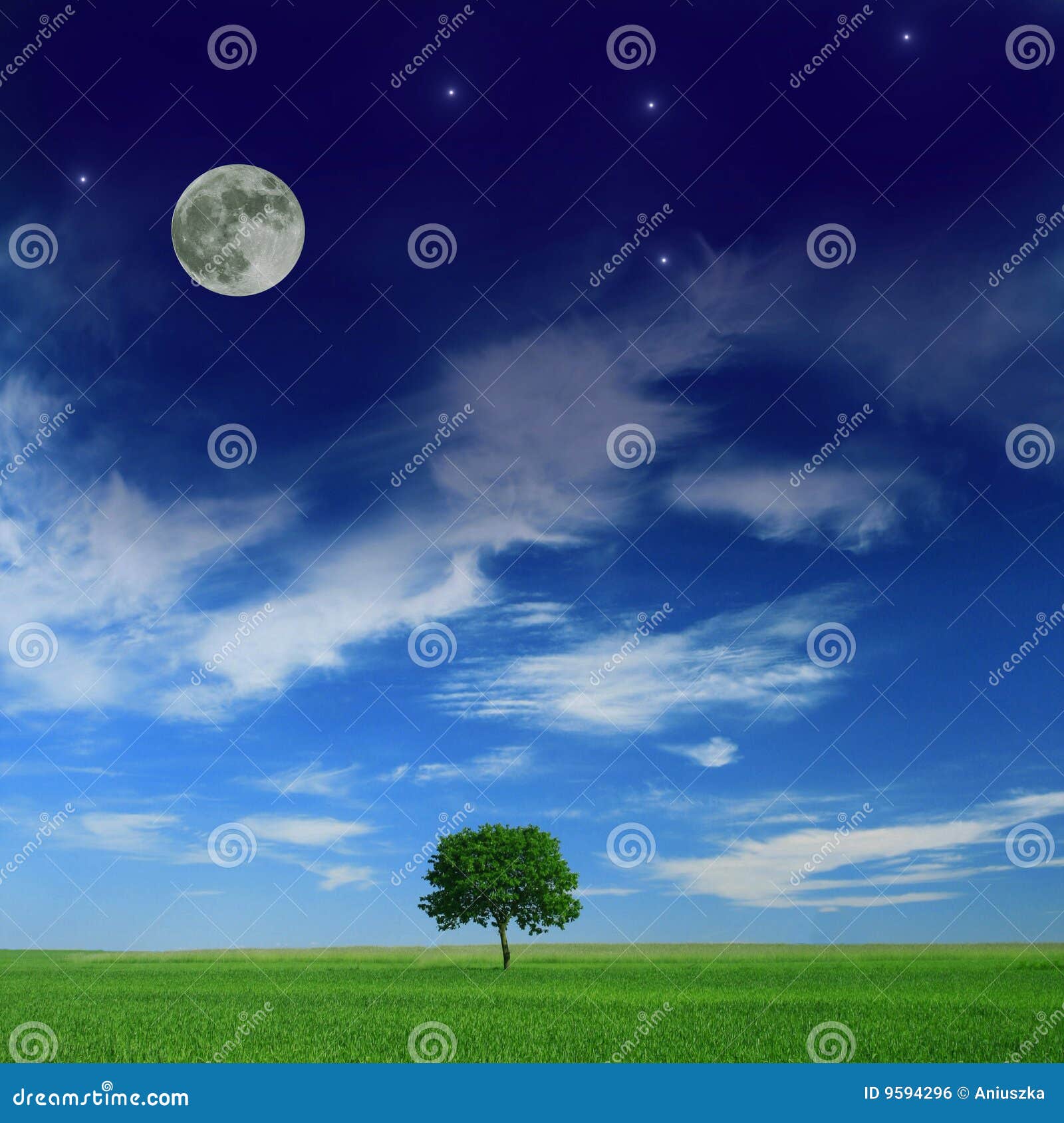 Idyllic landscape stock photo. Image of idyll, green, moon - 9594296