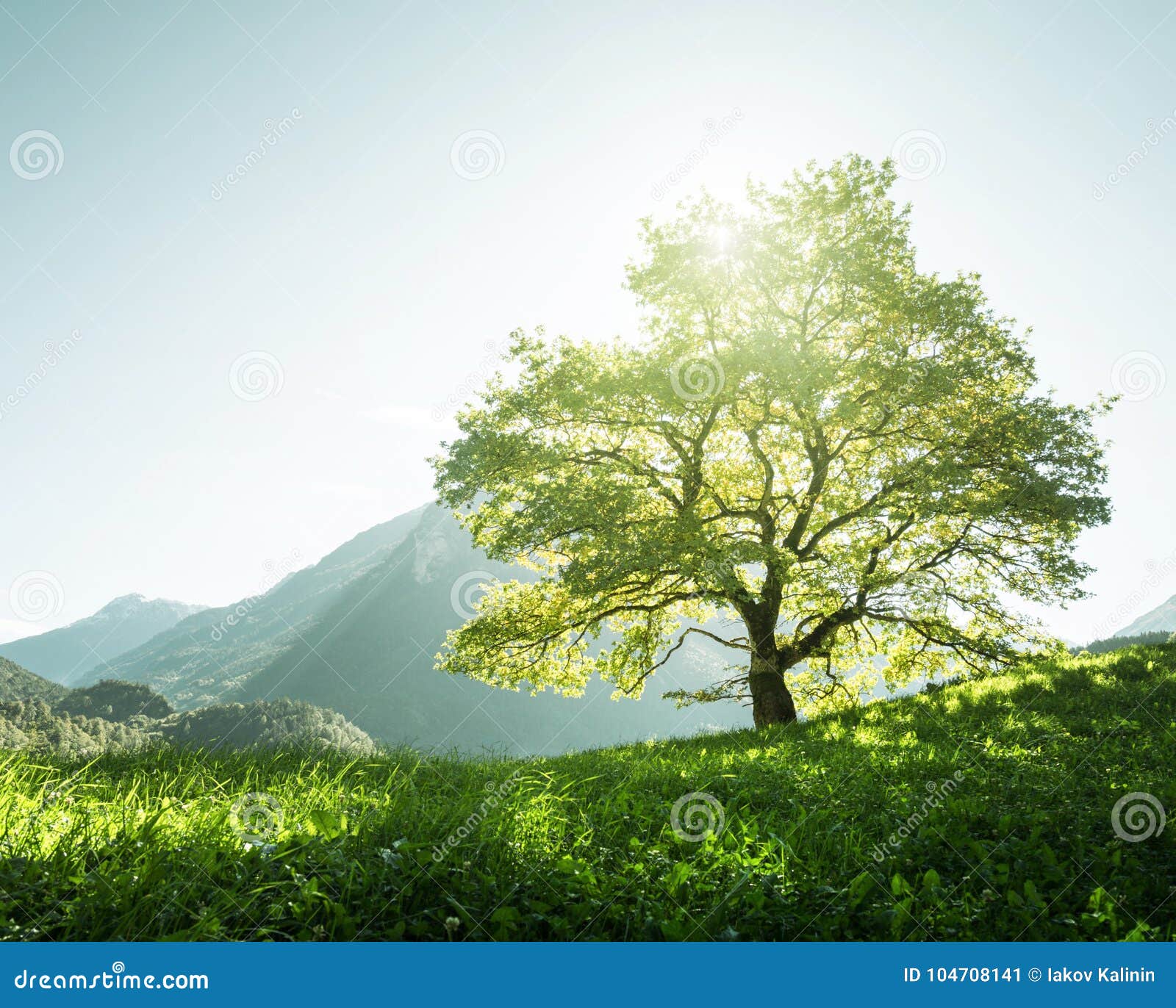 Idyllic Landscape in the Alps, Tree, Grass and Mountains Stock Image ...