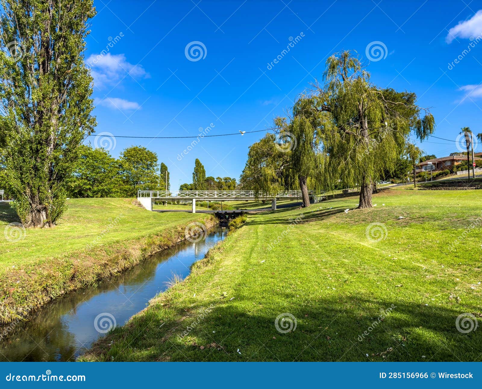 Idyllic Landscape Featuring a Stream in a Lush Park in Armidale ...