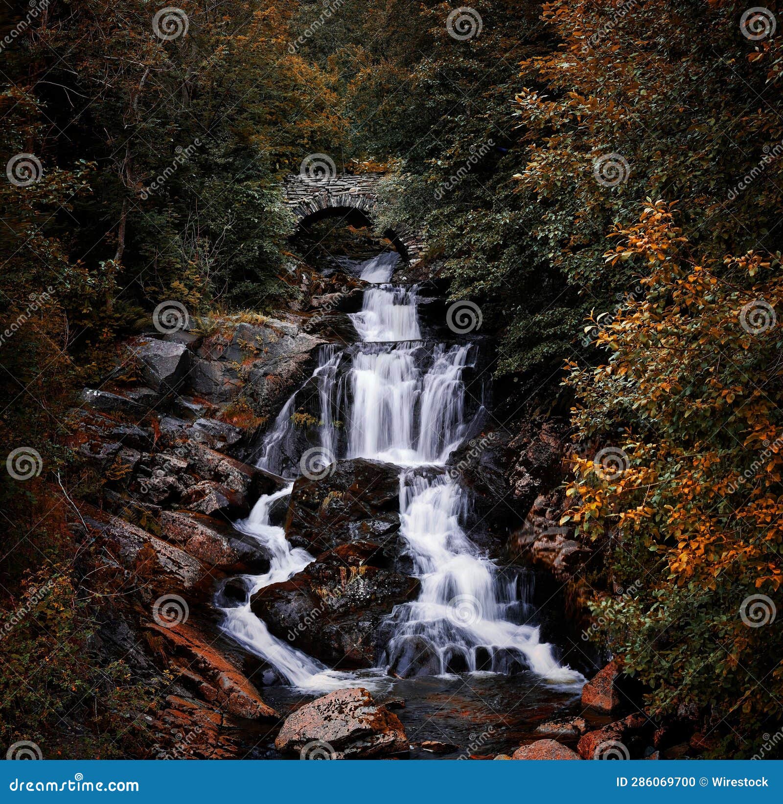 A Waterfall Flowing Over Rocks and Surrounded by Trees in the Woods ...
