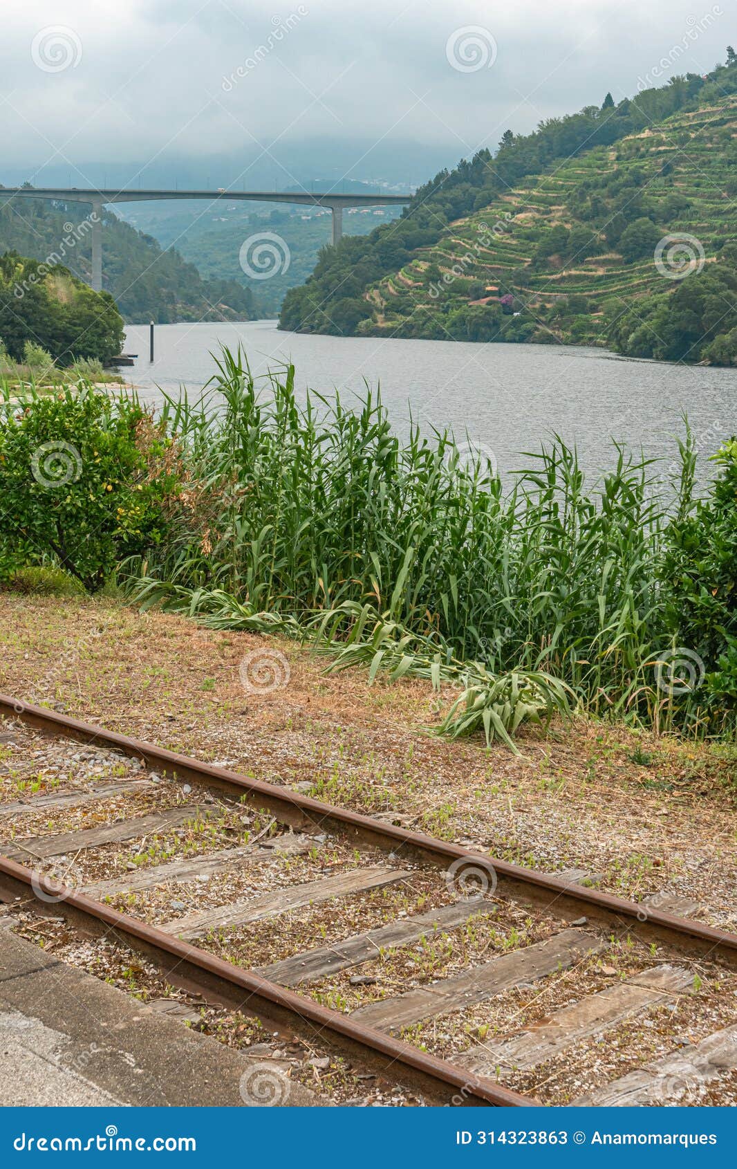 Idyllic Landscape of Old Train Line beside the Douro River Stock Image ...
