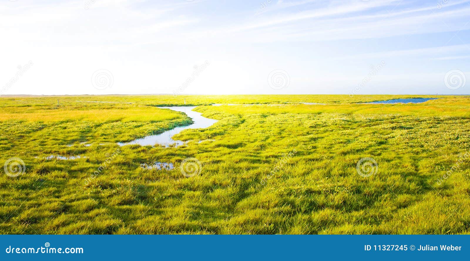 Idyllic lawn with stream stock image. Image of beautiful - 11327245