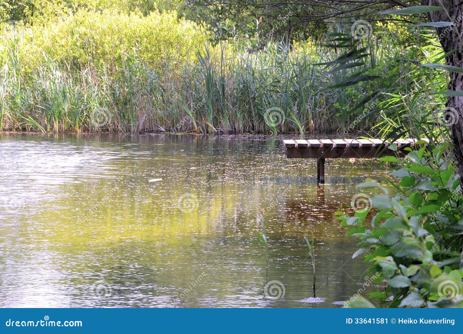 Idyllic Location beside a Lake Stock Image - Image of recuperate, reeds ...