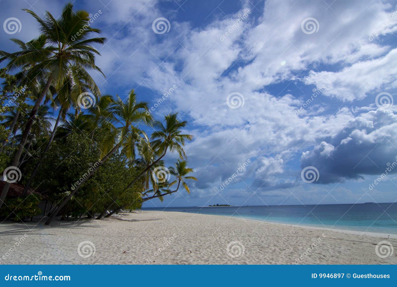 Idyllic Maldives Beach Scene Stock Image - Image of outdoors, foliage ...