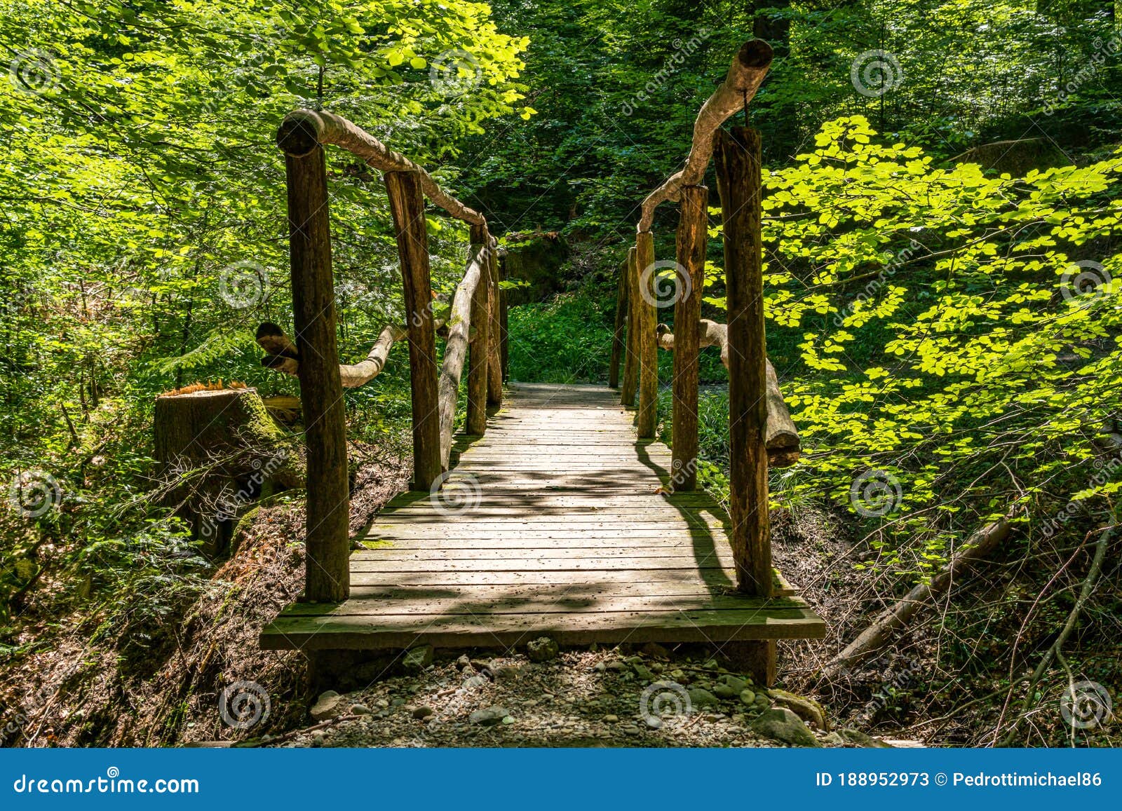Idyllic Old Bridge in a Forest Stock Image - Image of magic, footbridge ...